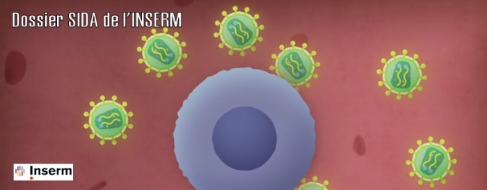 Dossier SIDA de l’INSERM – SVT – Académie de Besançon