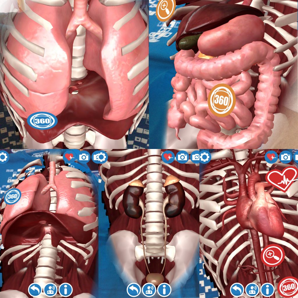 Virtuali-Tee : découvrir le corps humain en réalité augmentée et ...