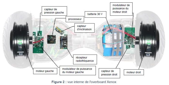DNB 2022 – Asie – SVT – Académie de Besançon