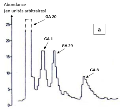 Bac Général Spé SVT 2023 – Polynésie Sujet 1 – SVT – Académie de Besançon