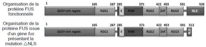Bac Général Spé SVT – Session Septembre 2023 – Métropole Sujet 2 – SVT ...