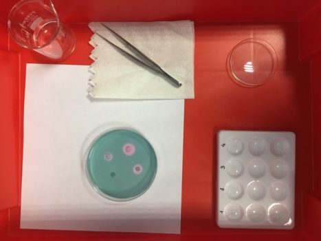 Antibiogramme de substitution – SVT – Académie de Besançon