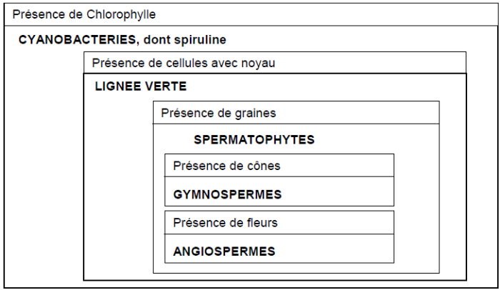 DNB 2023 – Polynésie – SVT – Académie de Besançon