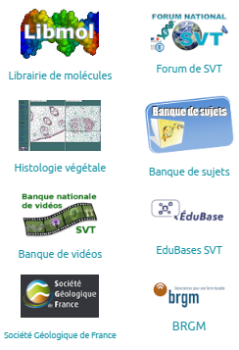 Construire un graphique – SVT – Académie de Besançon